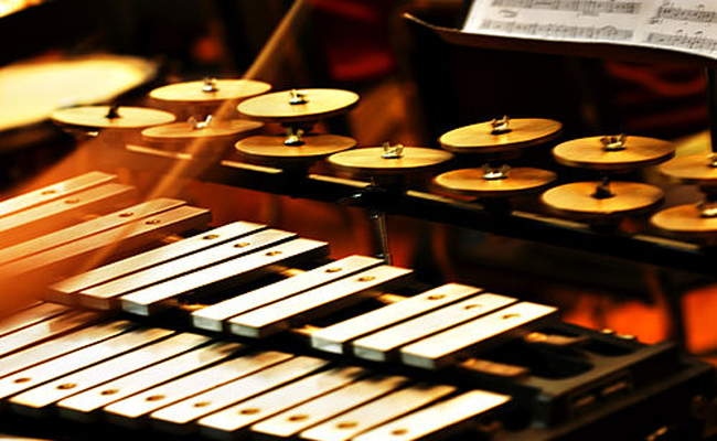 Taller de percusión para todas las edades - Noticias de Brown