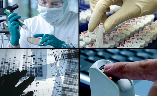 Impulsan la creación de un Banco de Datos Genéticos en Buenos Aires ...